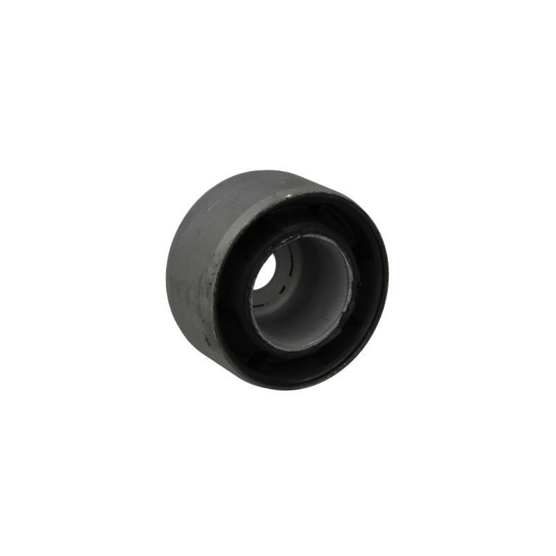 2 Silentbloc d'Origine de Maintien Transversales de l'Arrière du ...